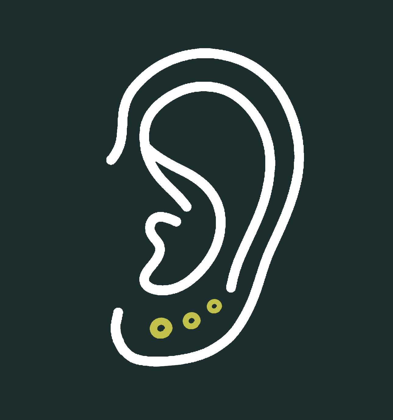 Comprehensive Online Body Piercing Training - Skinart International